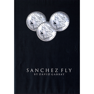 Sanchez Fly by David Gabbay - video - DOWNLOAD — MichaelClose.com